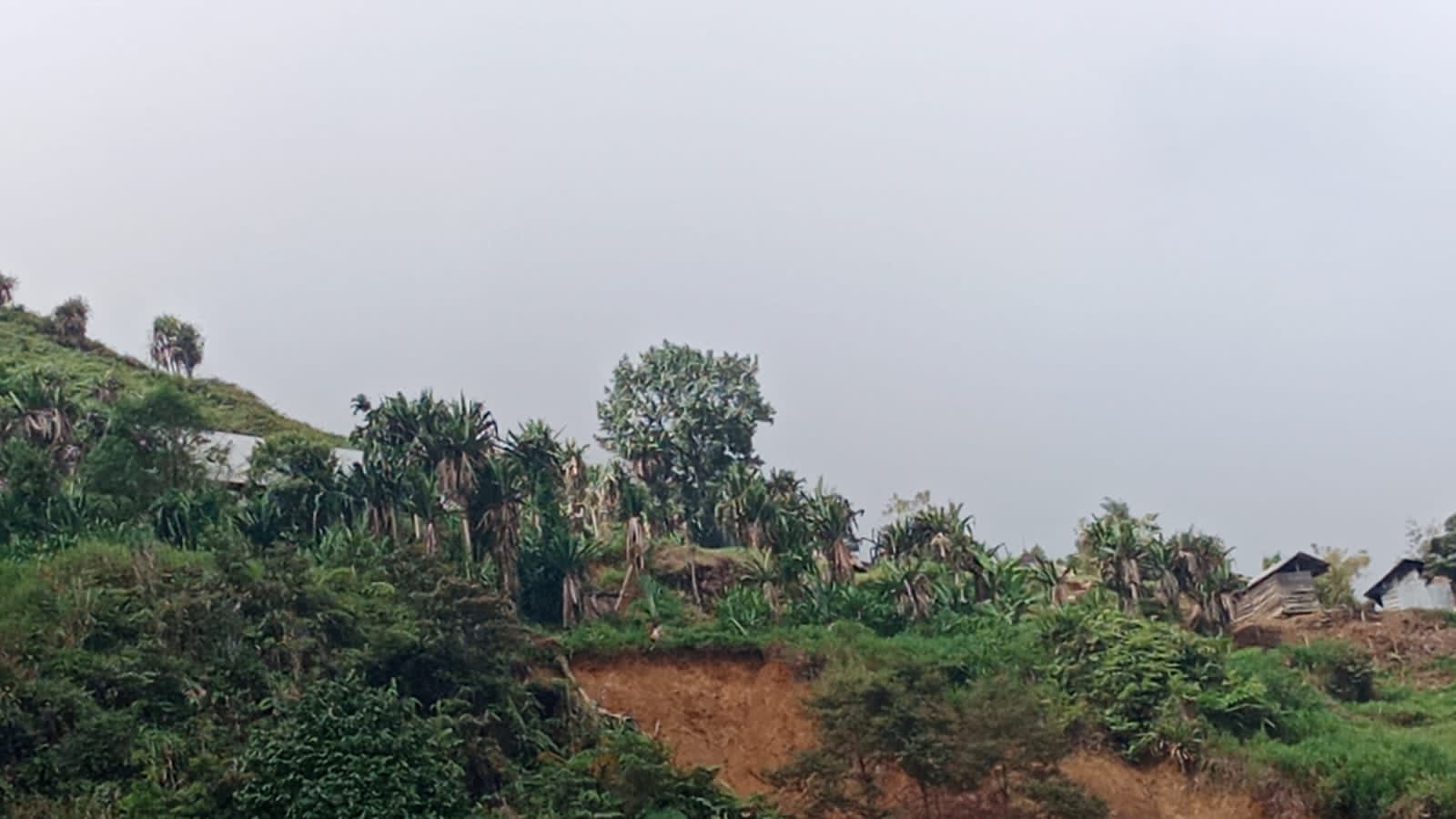Longsor di Distrik Lolat, Yahukimo: 13 Kampung dan 3 Gereja Terdampak – Sokama.id